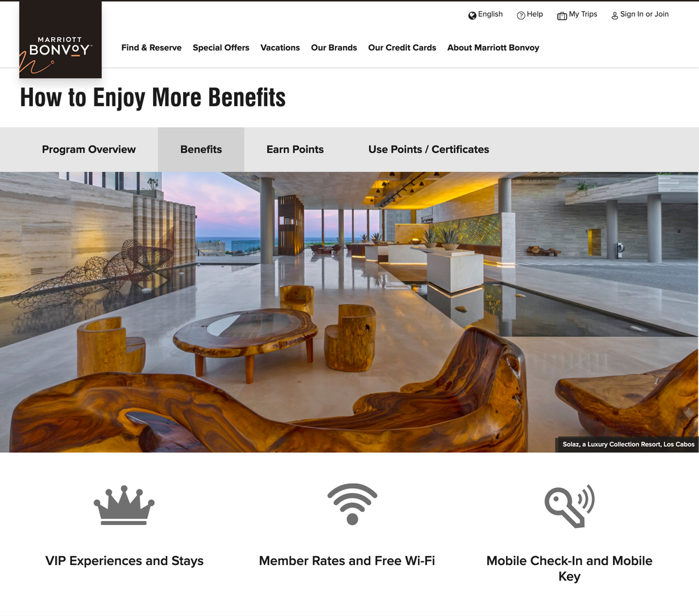 7 Outstanding Examples of VIP Programs