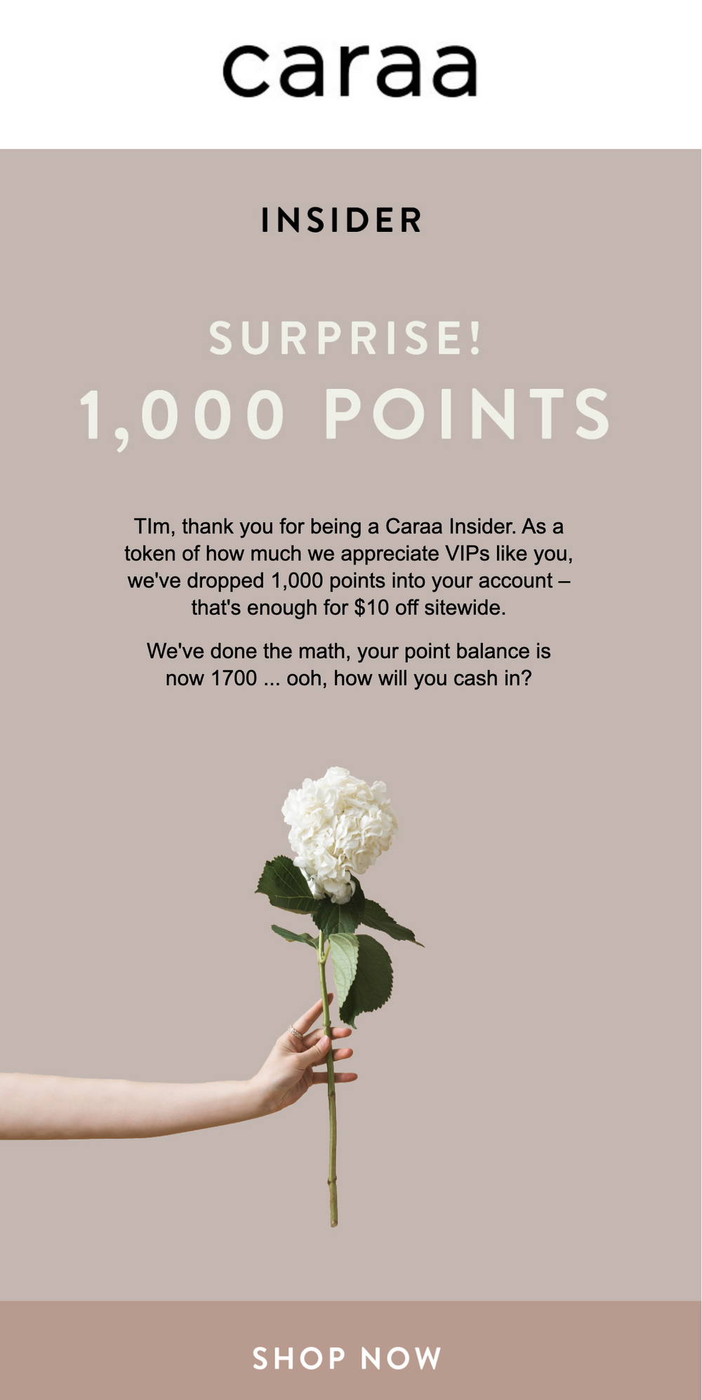 10 of the Best Loyalty Program Email Examples We've Seen